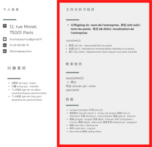 CV CHINOIS : Le Guide Ultime pas à pas - TopChinois